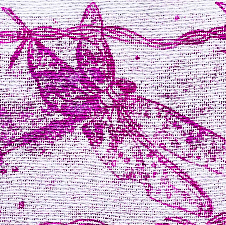 DRAGONFLIES – Jessica Watson Thorp